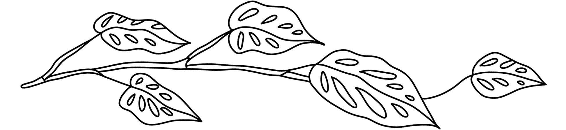 Monstera Ink: Tattoos for Plant Lovers | Inkbox™ | Semi-Permanent Tattoos