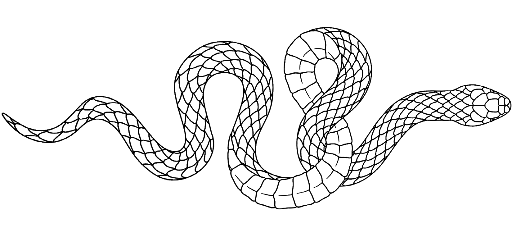 Corkscrew of Chaos Semi-Permanent Tattoo. Lasts 1-2 weeks. Painless and ...