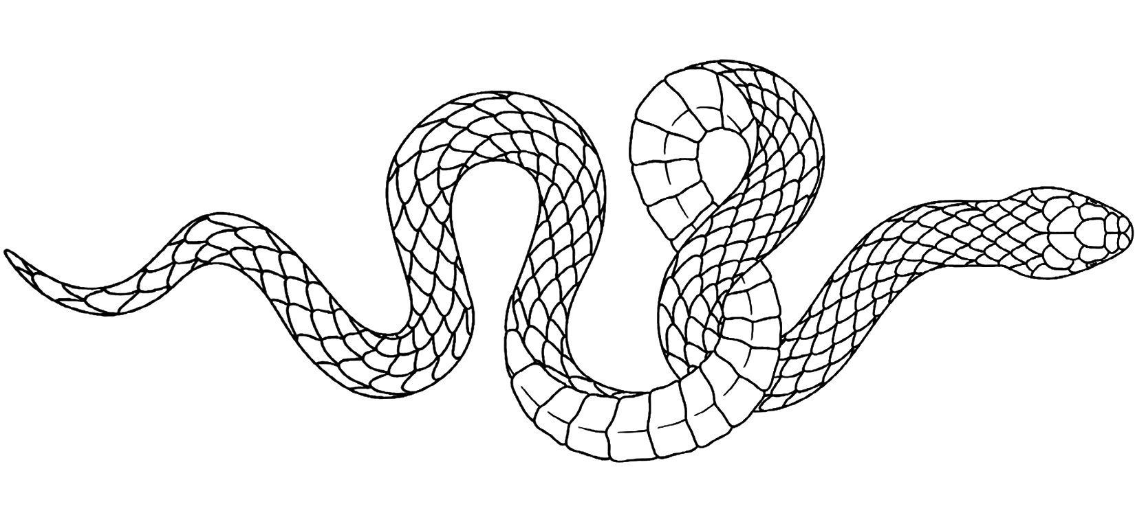 Back Snake Tattoo: Bold & Beautiful Designs | Inkbox™ | Semi-Permanent ...