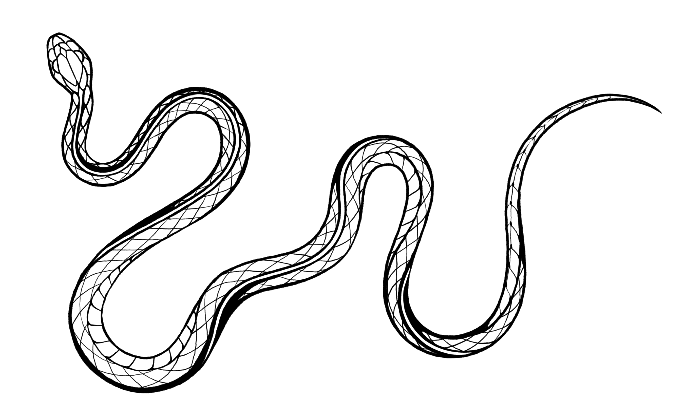 Snakes Tattoos: Find Your Perfect Serpent Ink! | Inkbox™ | Semi ...