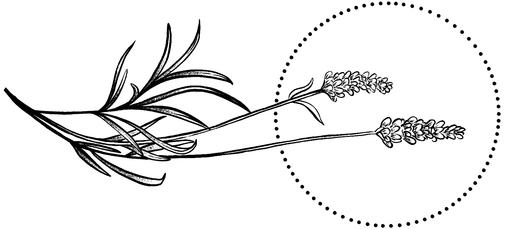 Plant Tattoos: Nature's Art on Your Skin | Inkbox™ | Semi-Permanent Tattoos