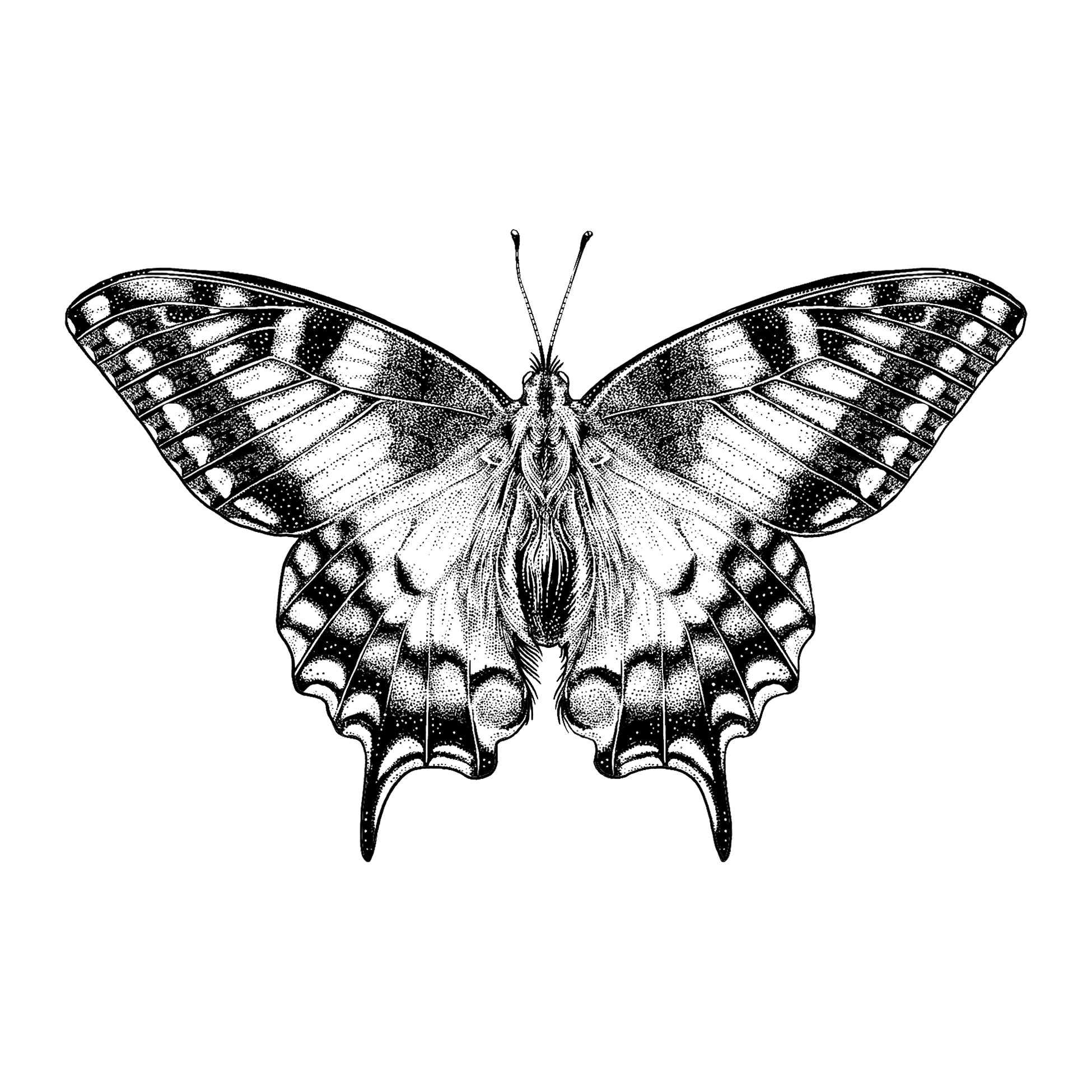 Angel Back Tattoos: Heavenly Designs & Ideas | Inkbox™ | Semi-Permanent ...