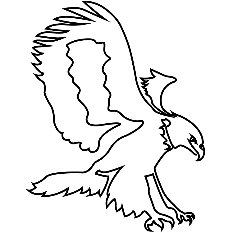 Eagle Line Semi-Permanent Tattoo. Lasts 1-2 weeks. Painless and easy to ...