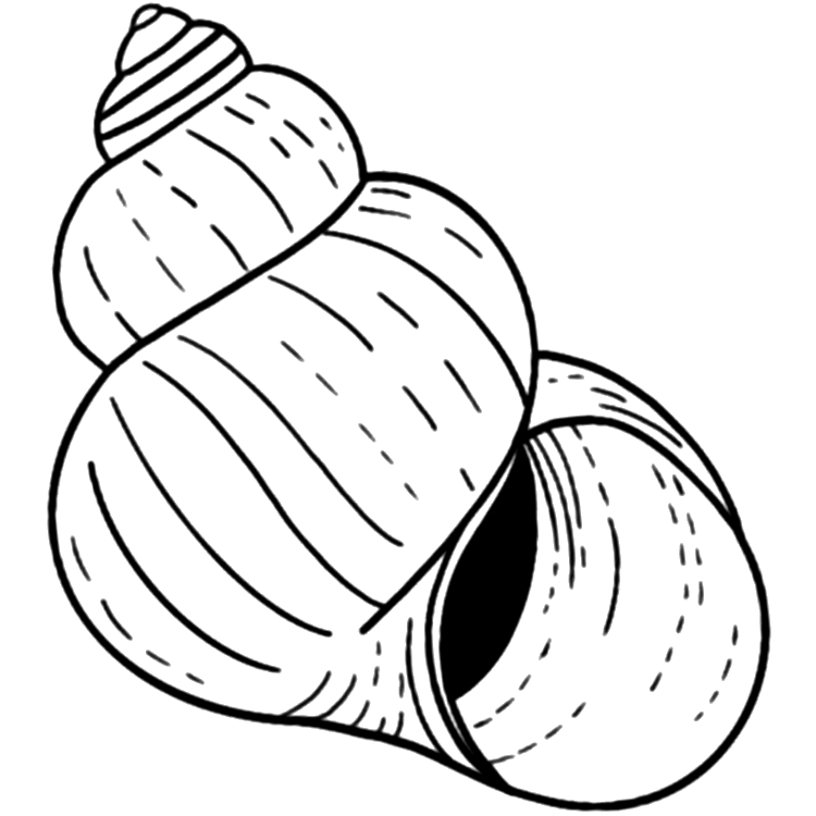 Shellfish from the Sea Semi-Permanent Tattoo. Lasts 1-2 weeks. Painless ...