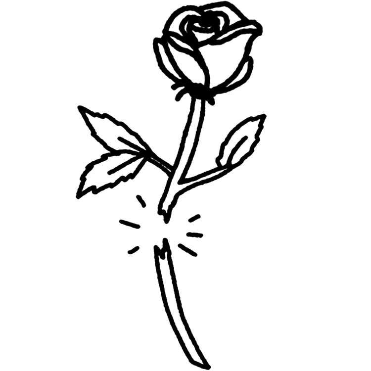 Broken Flower Stem Drawing