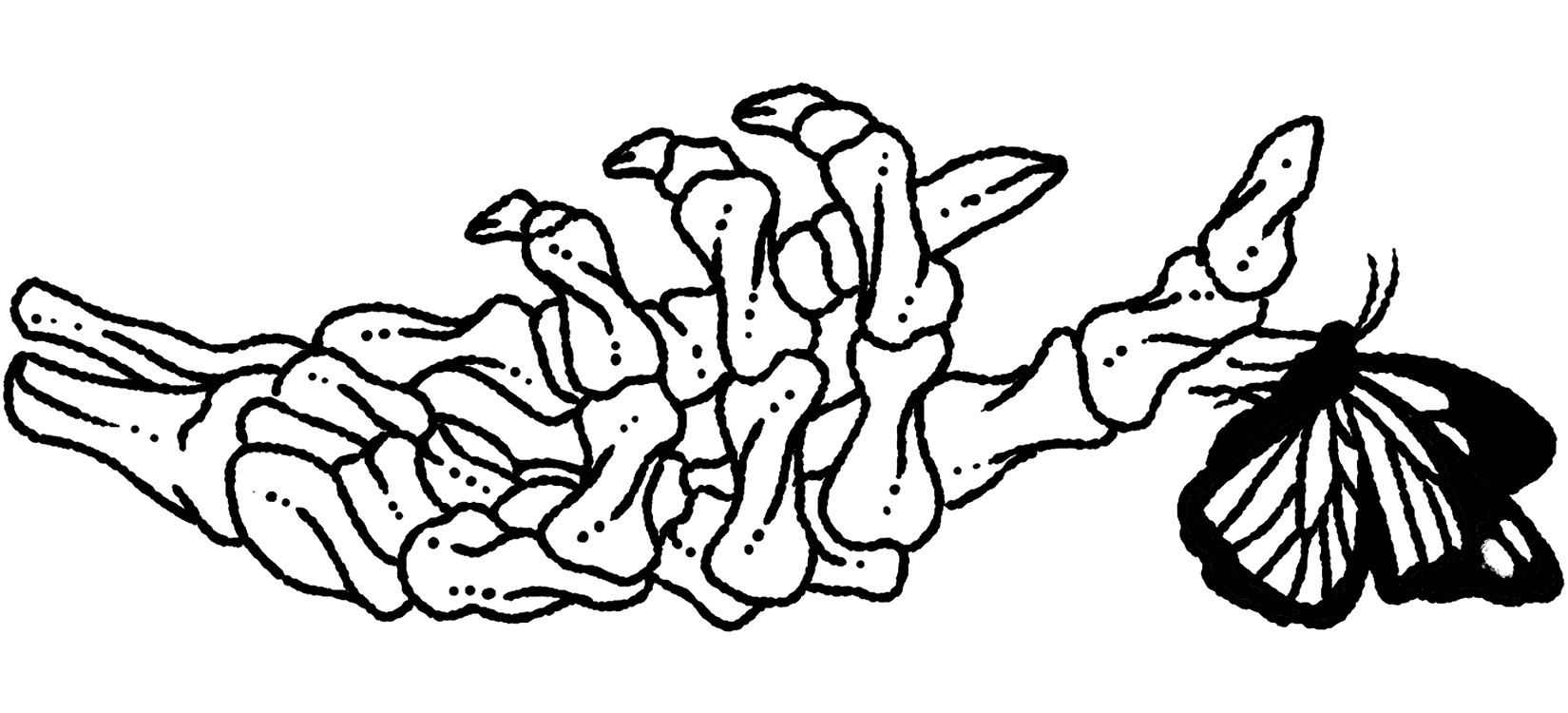 Transfixed by Beauty Semi-Permanent Tattoo. Lasts 1-2 weeks. Painless ...