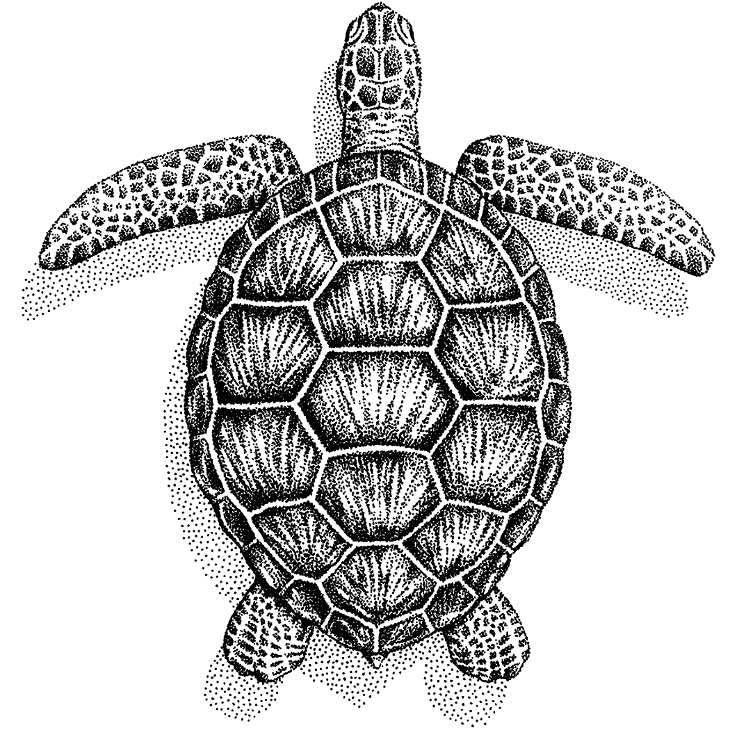 Shadow Tattoos: Art of Contrast & Depth | Inkbox™ | Semi-Permanent Tattoos