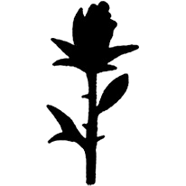 Rose Wrist Tattoos: Delicate & Elegant | Inkbox™ | Semi-Permanent Tattoos