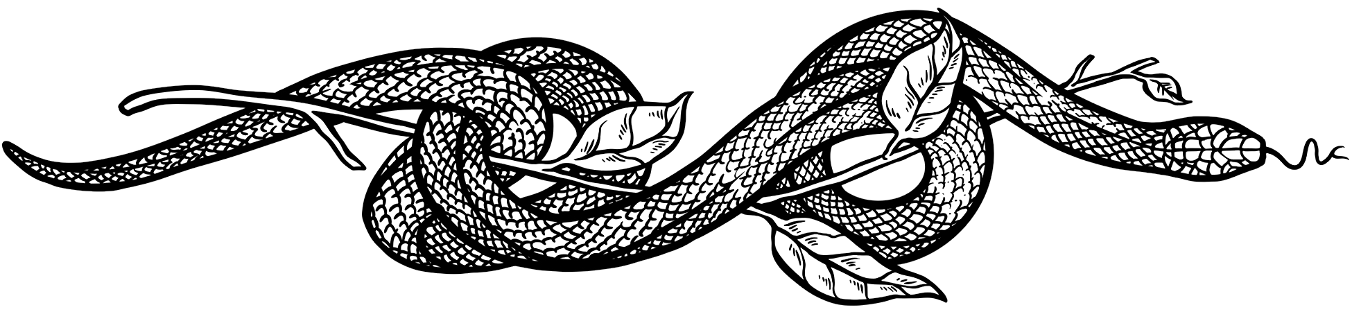 Back Snake Tattoo: Bold & Beautiful Designs | Inkbox™ | Semi-Permanent ...