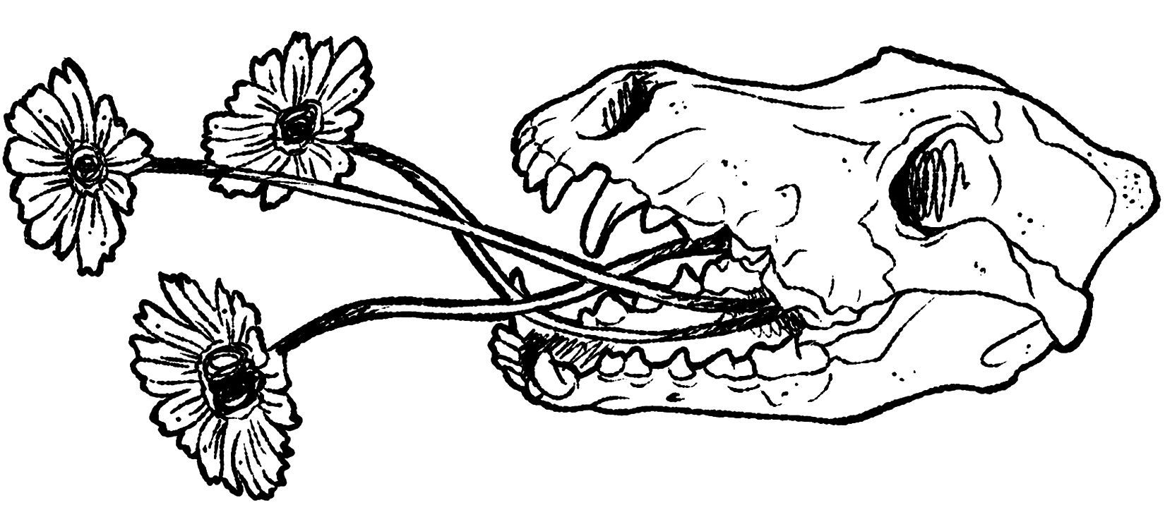 Skeleton Tattoos: Designs & Inspiration | Inkbox™ | Semi-Permanent Tattoos