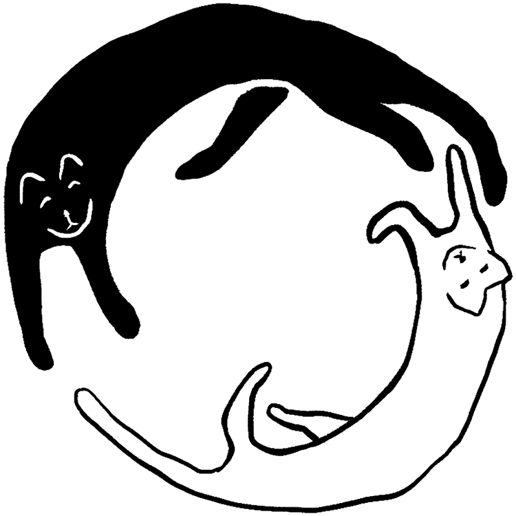 Chasing Tail Semi-Permanent Tattoo. Lasts 1-2 weeks. Painless and easy ...