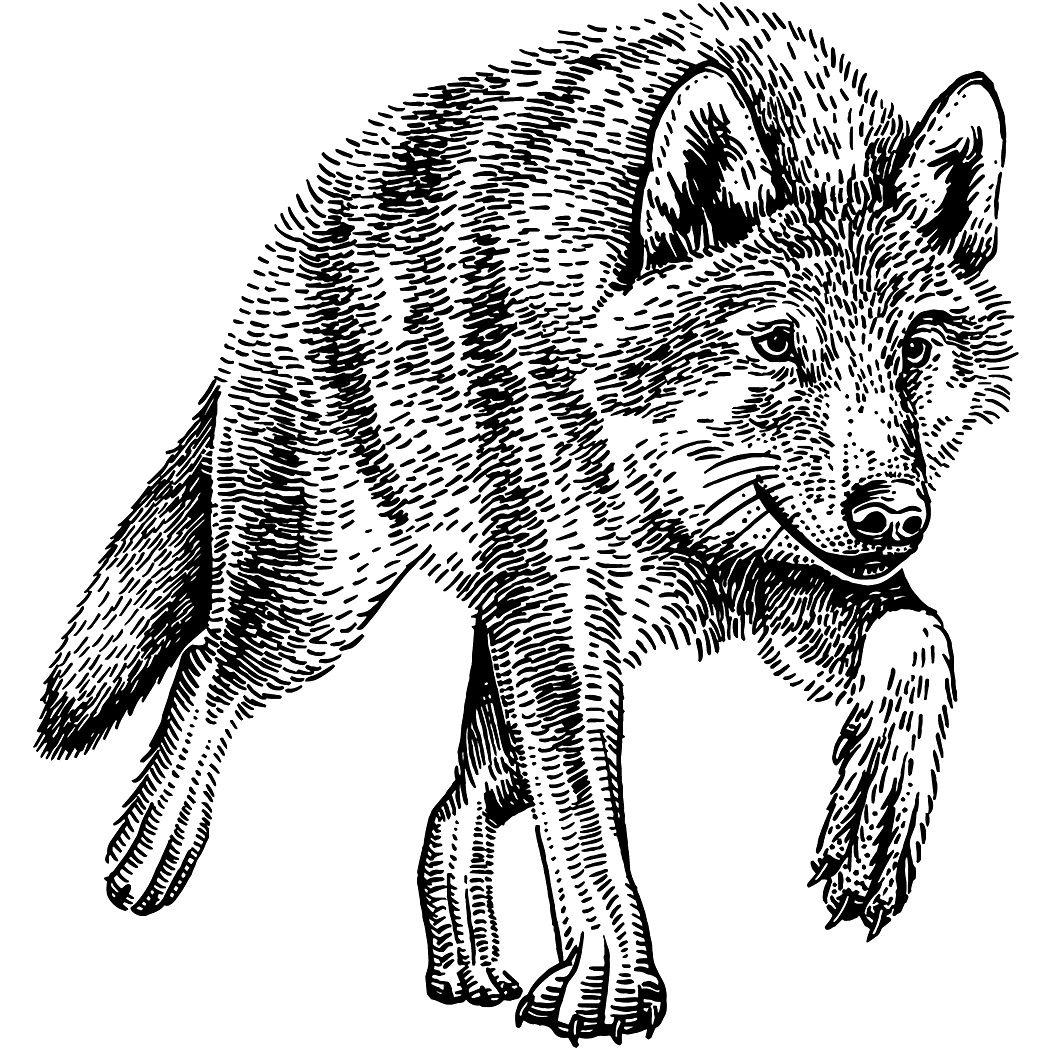 Lonely Ink: Alone Tattoo Listings | Inkbox™ | Semi-Permanent Tattoos