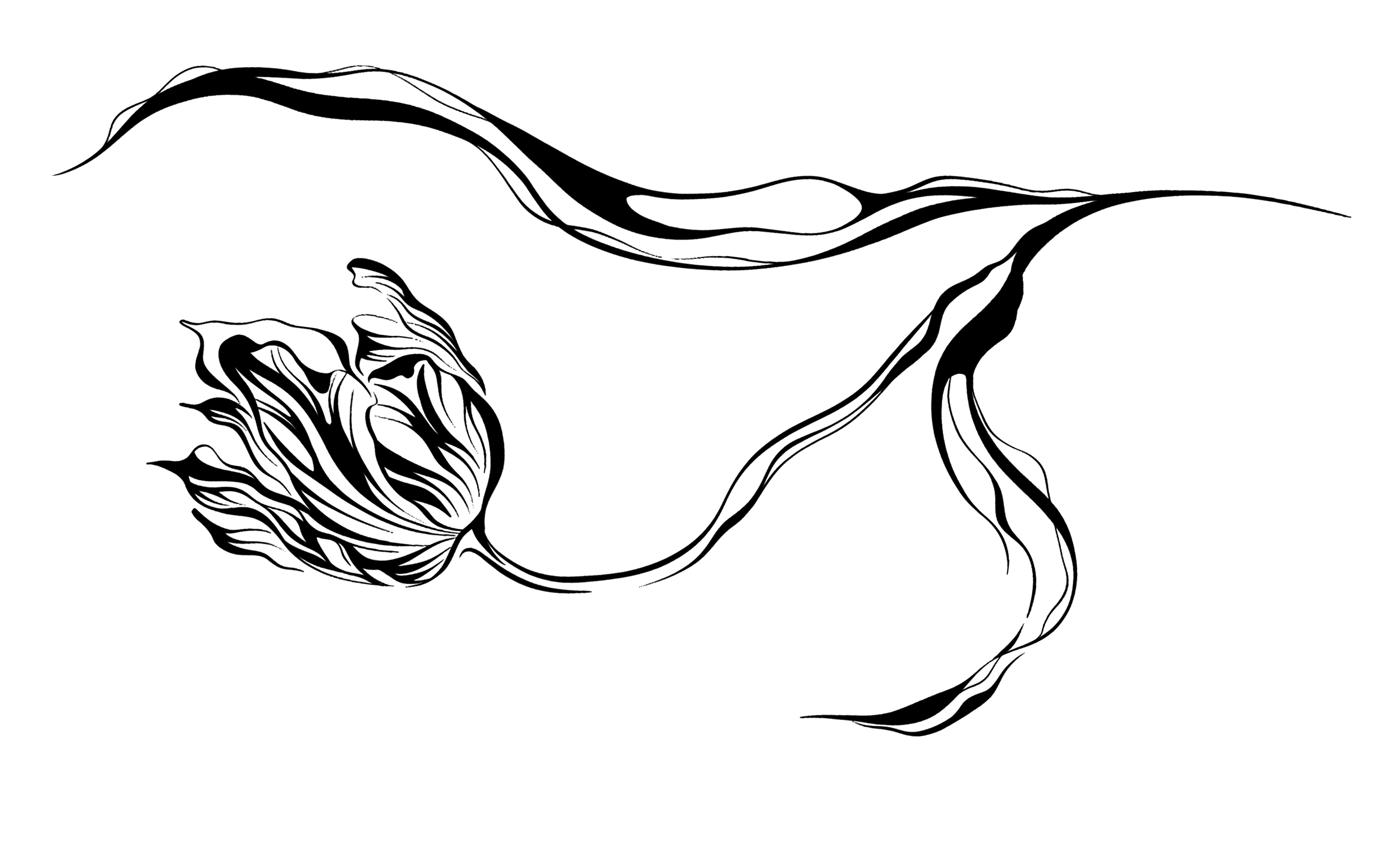 Tulip Flow Semi-Permanent Tattoo. Lasts 1-2 weeks. Painless and easy to ...