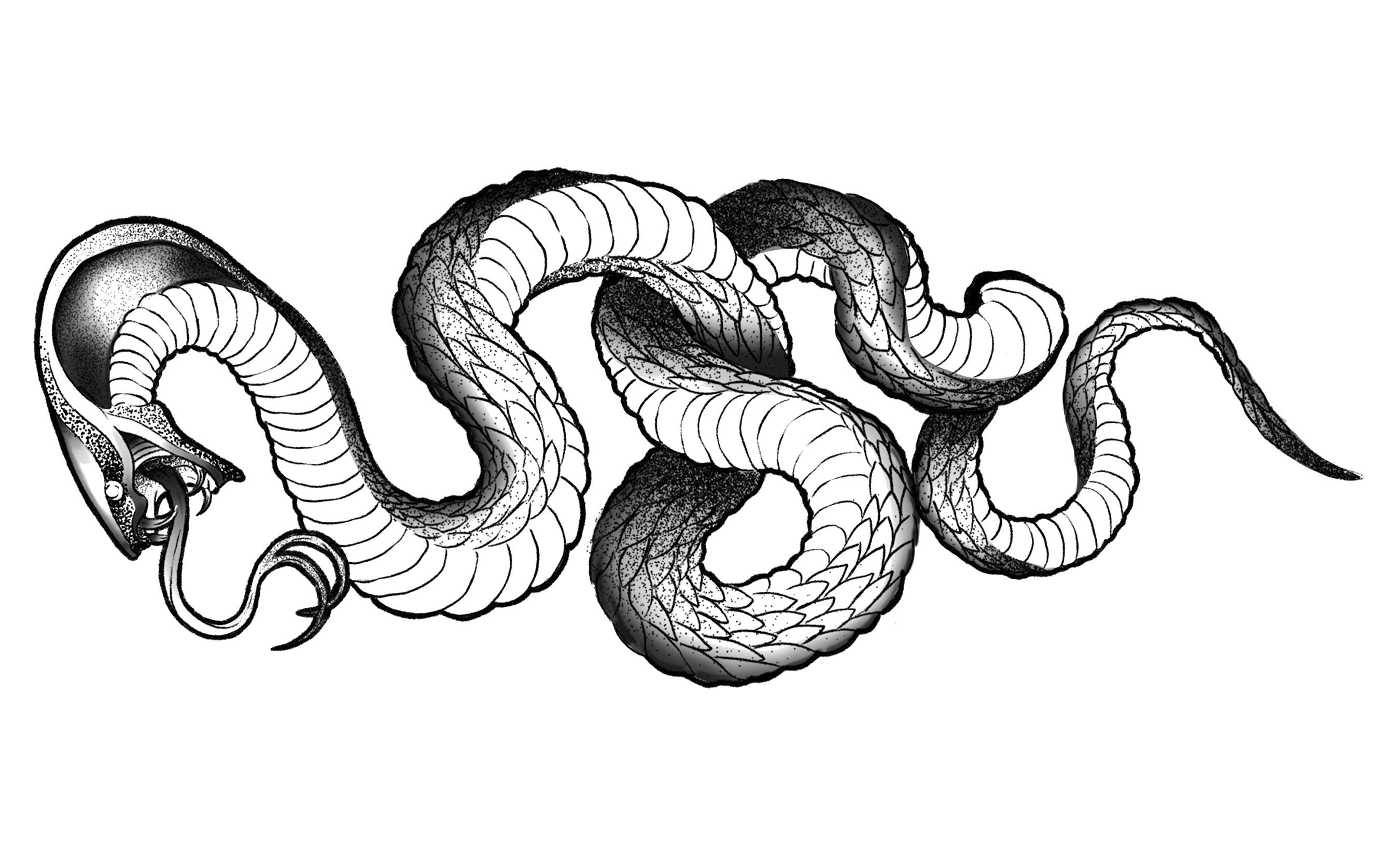 Snakes Tattoos: Find Your Perfect Serpent Ink! | Inkbox™ | Semi ...