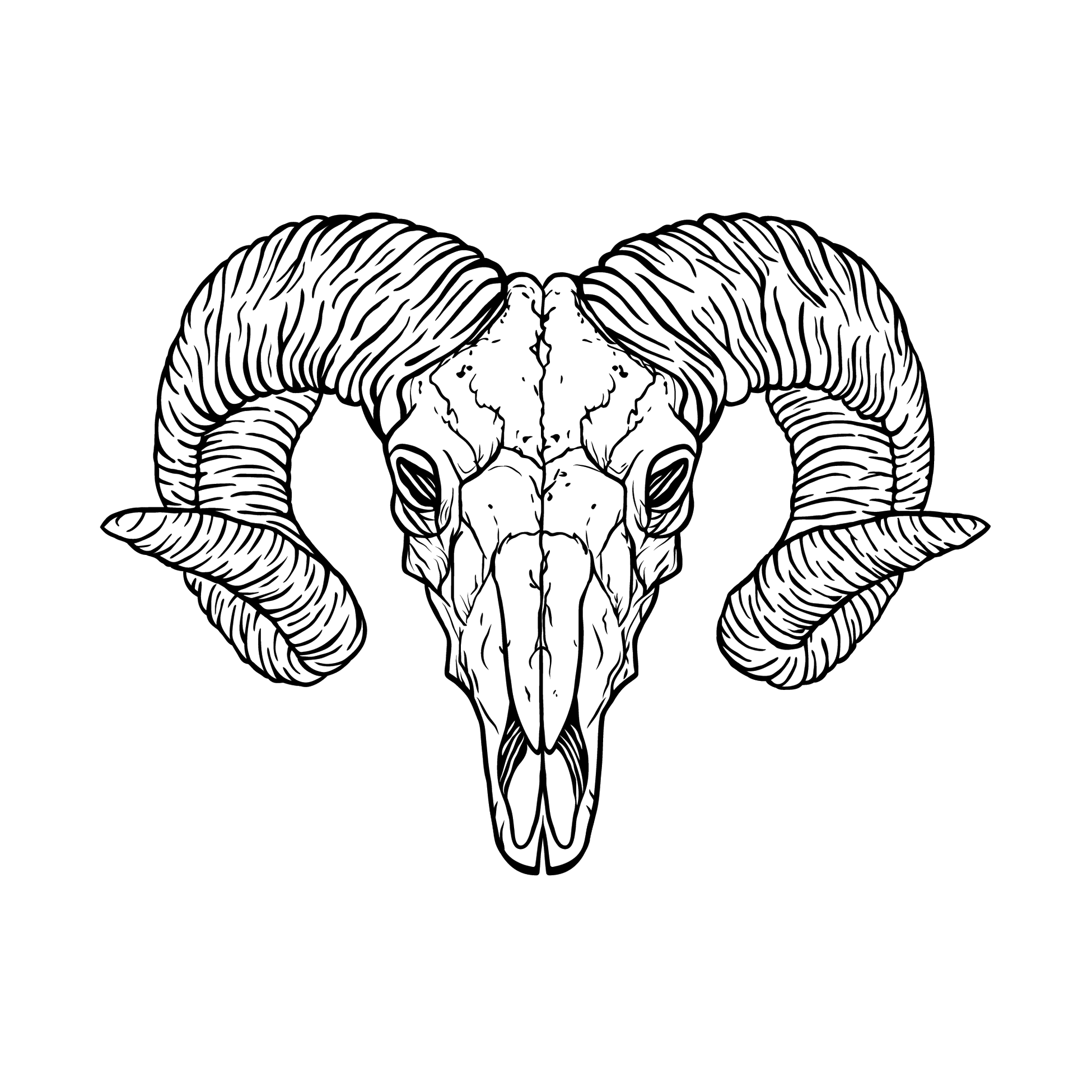 Ram Skull Tattoos: Bold Symbolism | Inkbox™ | Semi-Permanent Tattoos