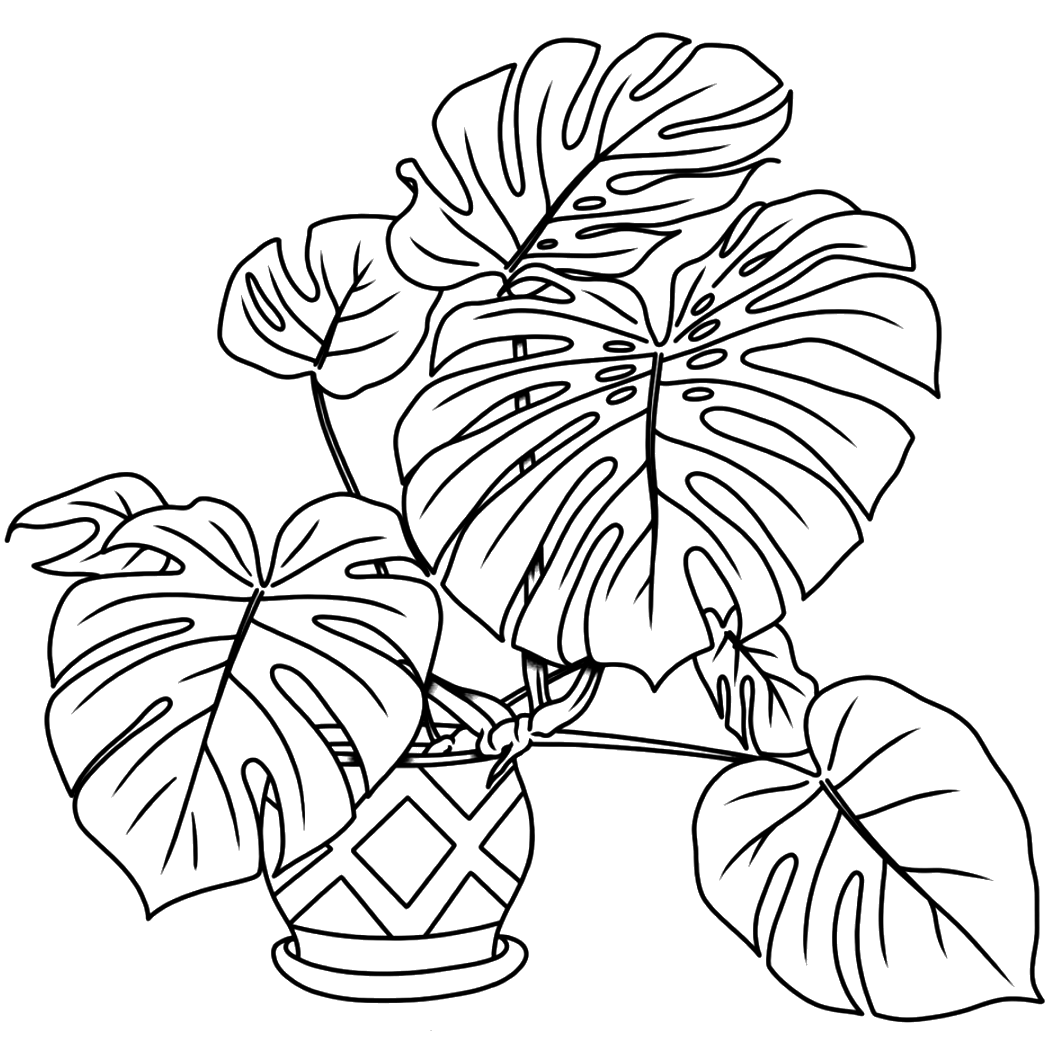 Monstera Ink: Tattoos for Plant Lovers | Inkbox™ | Semi-Permanent Tattoos