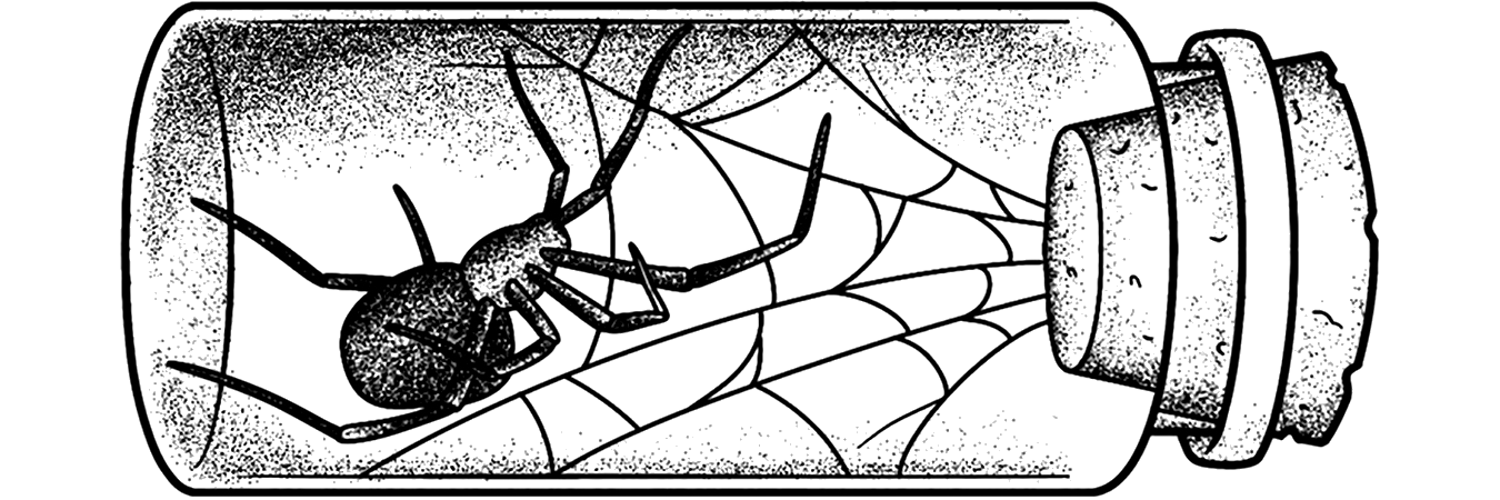 Captive Semi-Permanent Tattoo. Lasts 1-2 weeks. Painless and easy to ...