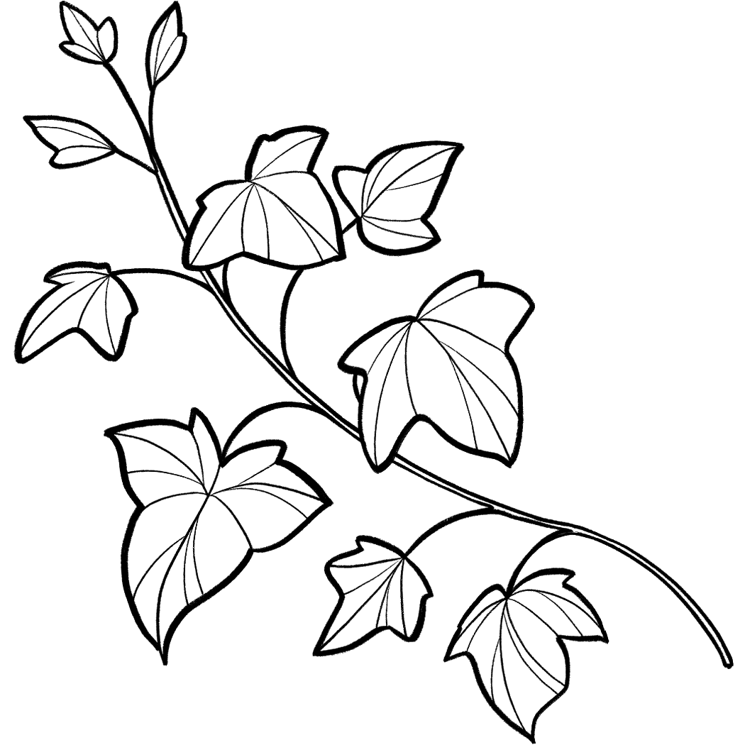 Ivy Ink: Stunning Ivy Tattoos for Nature-Loving Enthusiasts | Inkbox ...