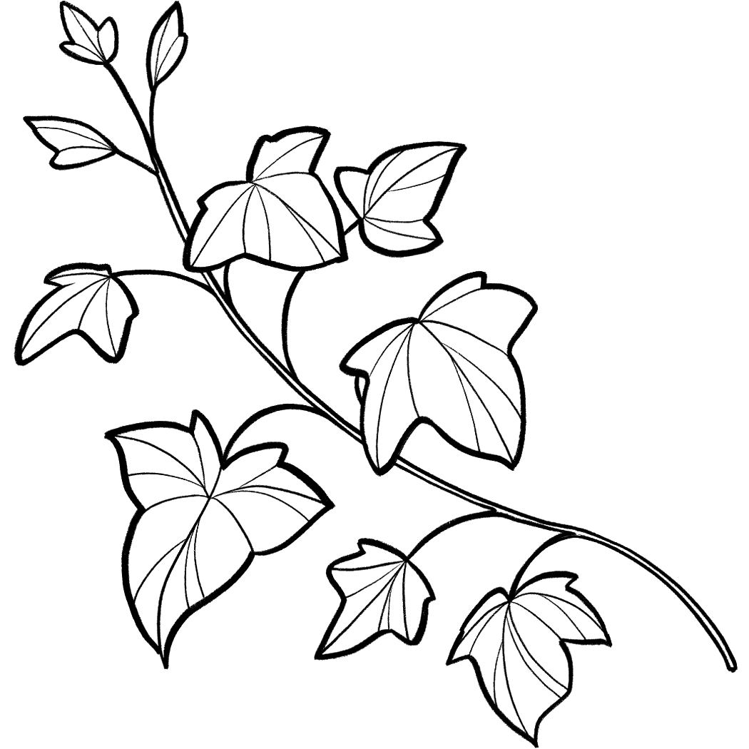 Ivy Ink: Stunning Ivy Tattoos for Nature-Loving Enthusiasts | Inkbox ...