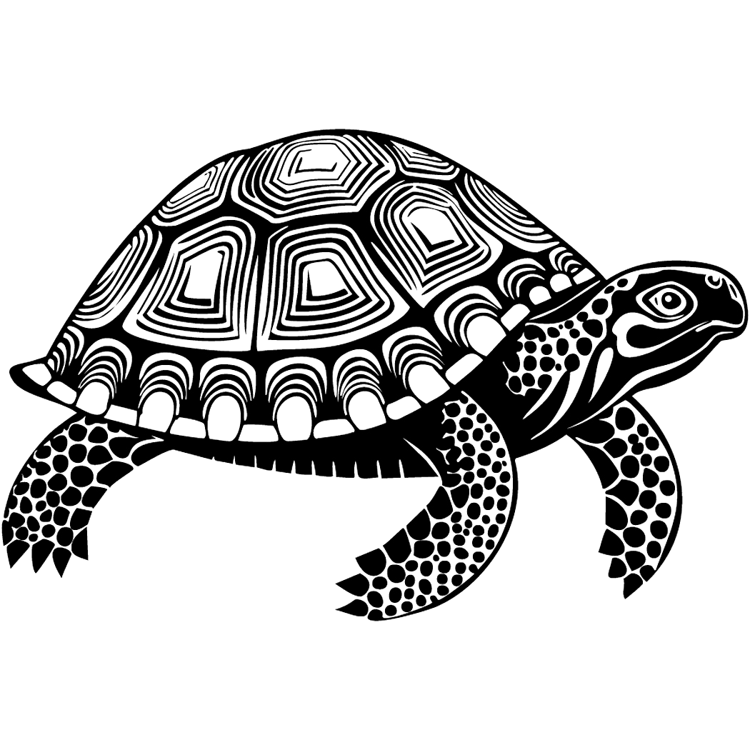 Coasting Semi-Permanent Tattoo. Lasts 1-2 weeks. Painless and easy to ...