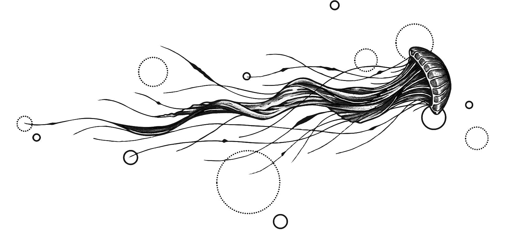 Will Finch | Inkbox™ | Semi-Permanent Tattoos