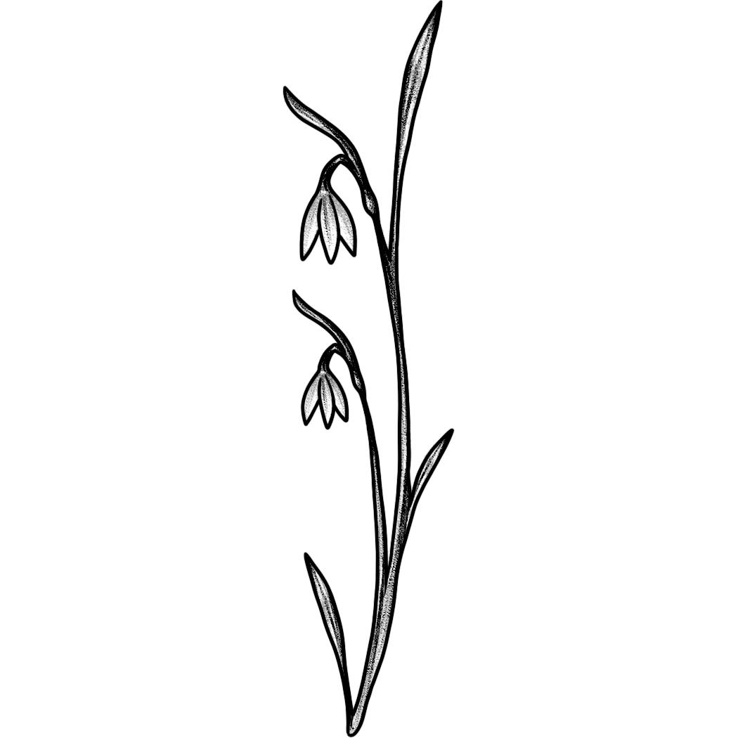 Will Finch | Inkbox™ | Semi-Permanent Tattoos