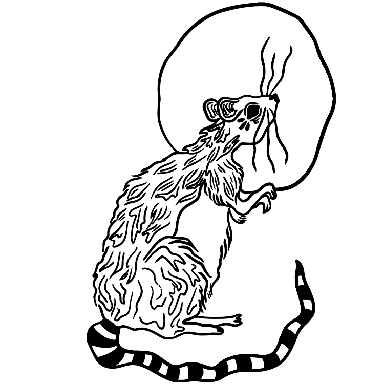 Striped Rat Semi-Permanent Tattoo. Lasts 1-2 weeks. Painless and easy ...