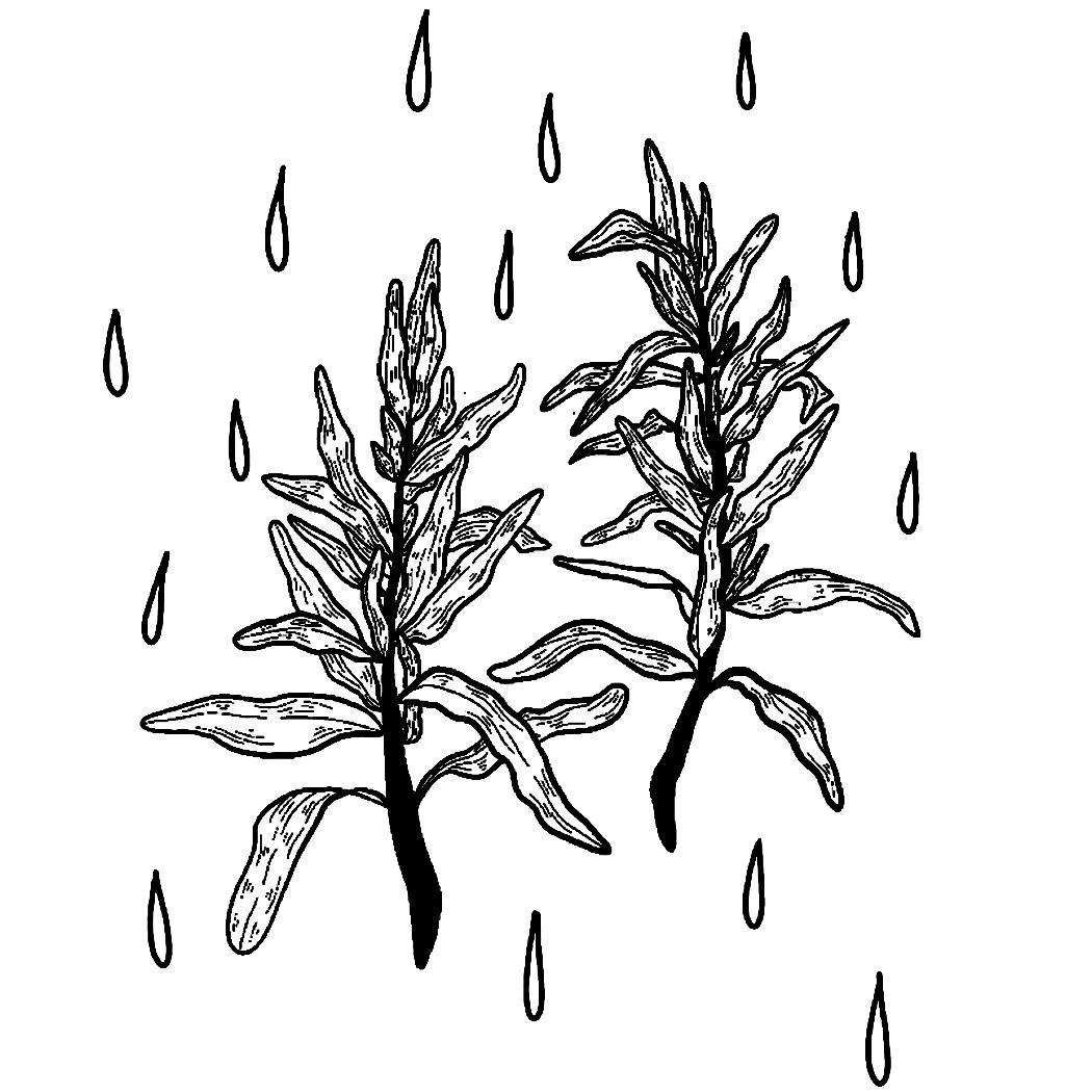 Rain Tattoos: Capturing Nature's Essence | Inkbox™ | Semi-Permanent Tattoos