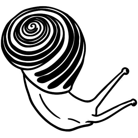 Snail Ink: Unique Snail Tattoos for Your Next Body Art | Inkbox™ | Semi ...