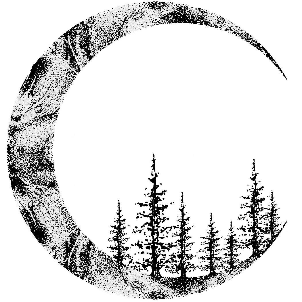 Will Finch | Inkbox™ | Semi-Permanent Tattoos