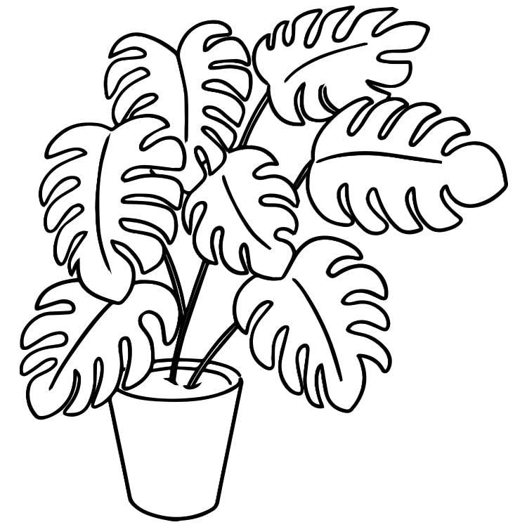 Monstera Ink: Tattoos for Plant Lovers | Inkbox™ | Semi-Permanent Tattoos