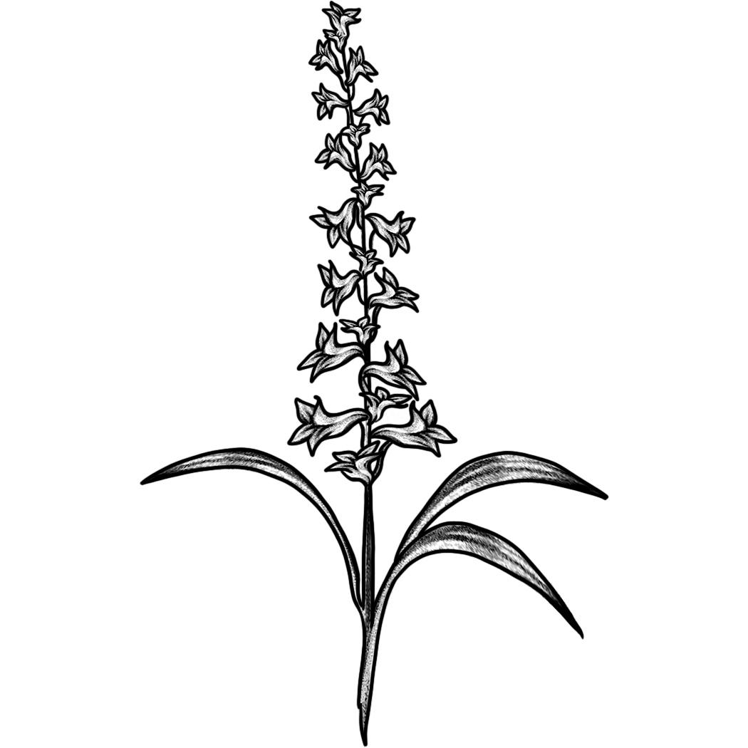 Shop Will Finch tattoos online | Inkbox™ | Semi-Permanent Tattoos