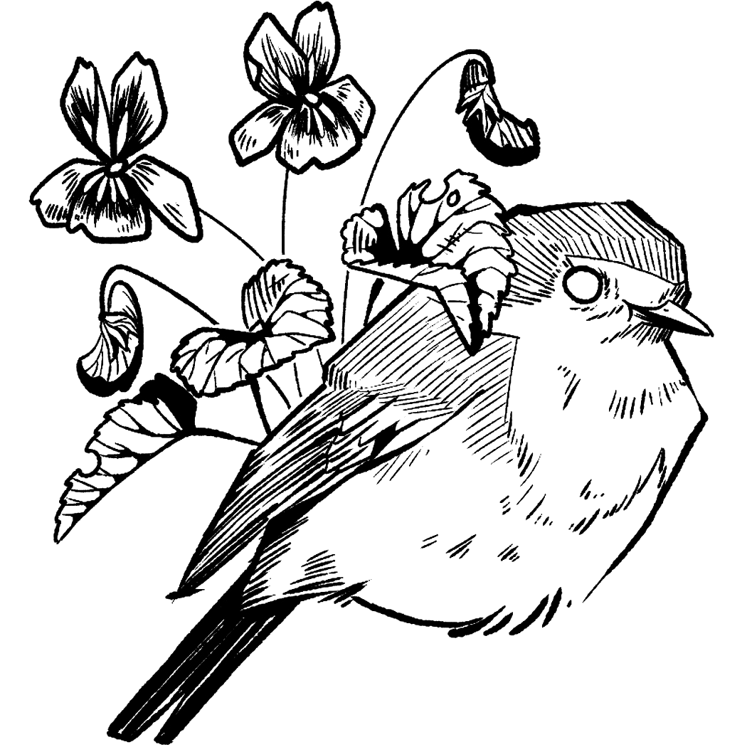 Violet and Robin Semi-Permanent Tattoo. Lasts 1-2 weeks. Painless and ...