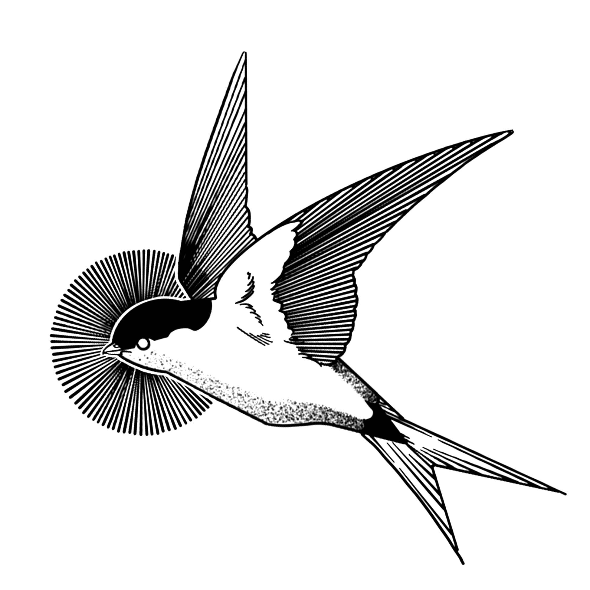 Freedom Ink: Explore Tattoo Designs for Freedom Lovers | Inkbox™ | Semi ...