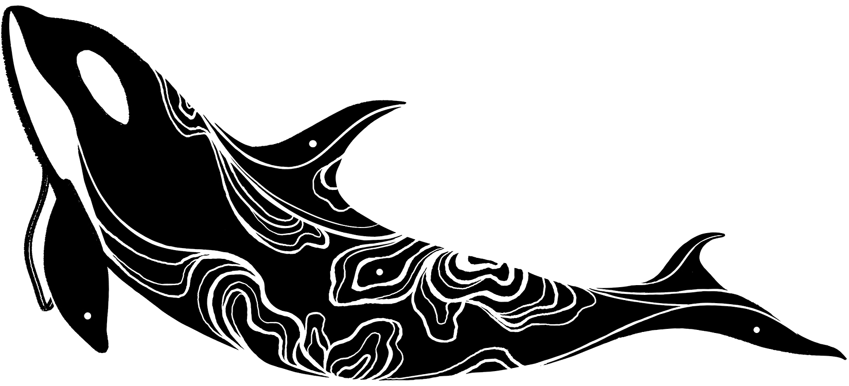Whale Ink: Top Designs & Ideas for Your Tattoo | Inkbox™ | Semi ...