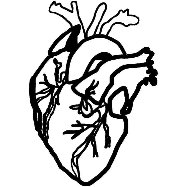 Anatomical Heart Tattoos - Top Picks! | Inkbox™ | Semi-Permanent Tattoos