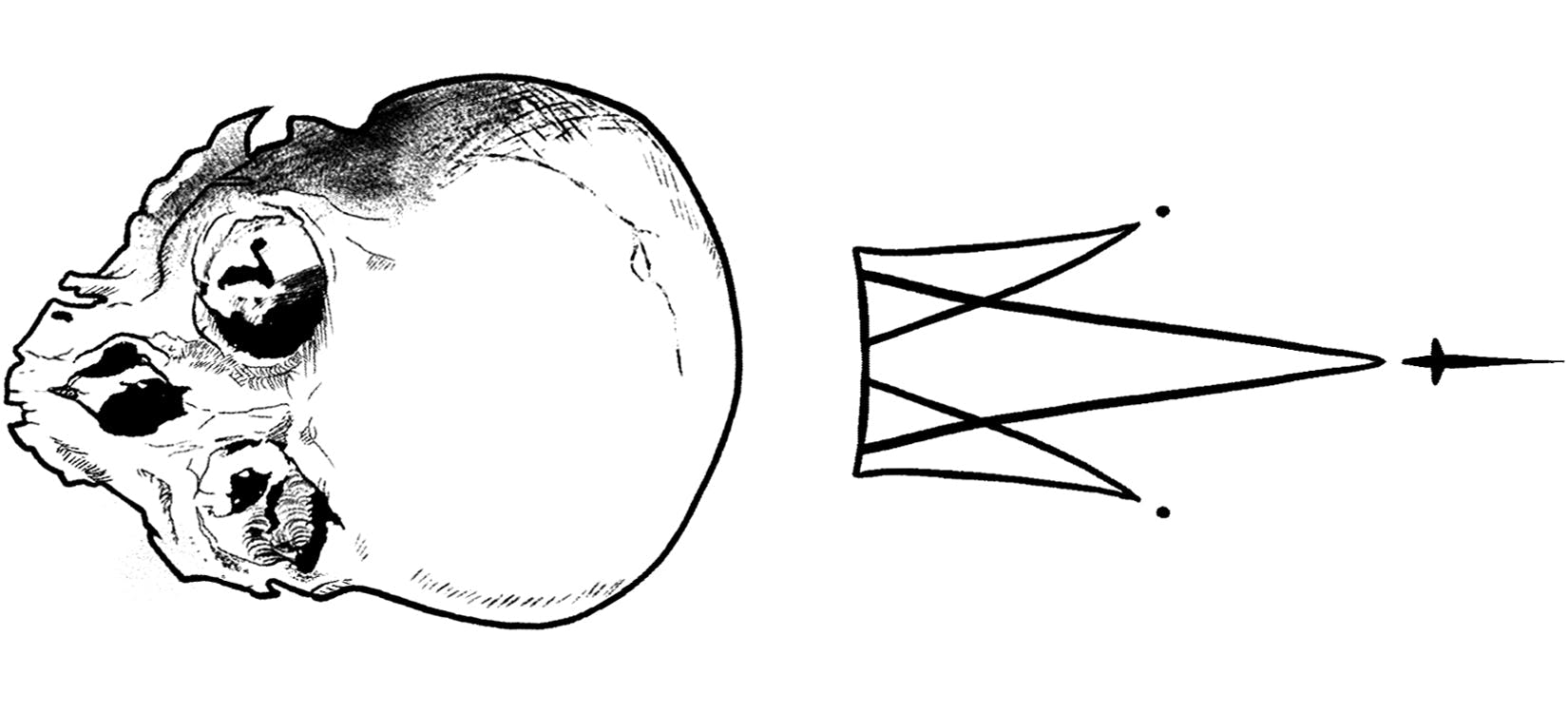 Skeleton Tattoos: Designs & Inspiration | Inkbox™ | Semi-Permanent Tattoos