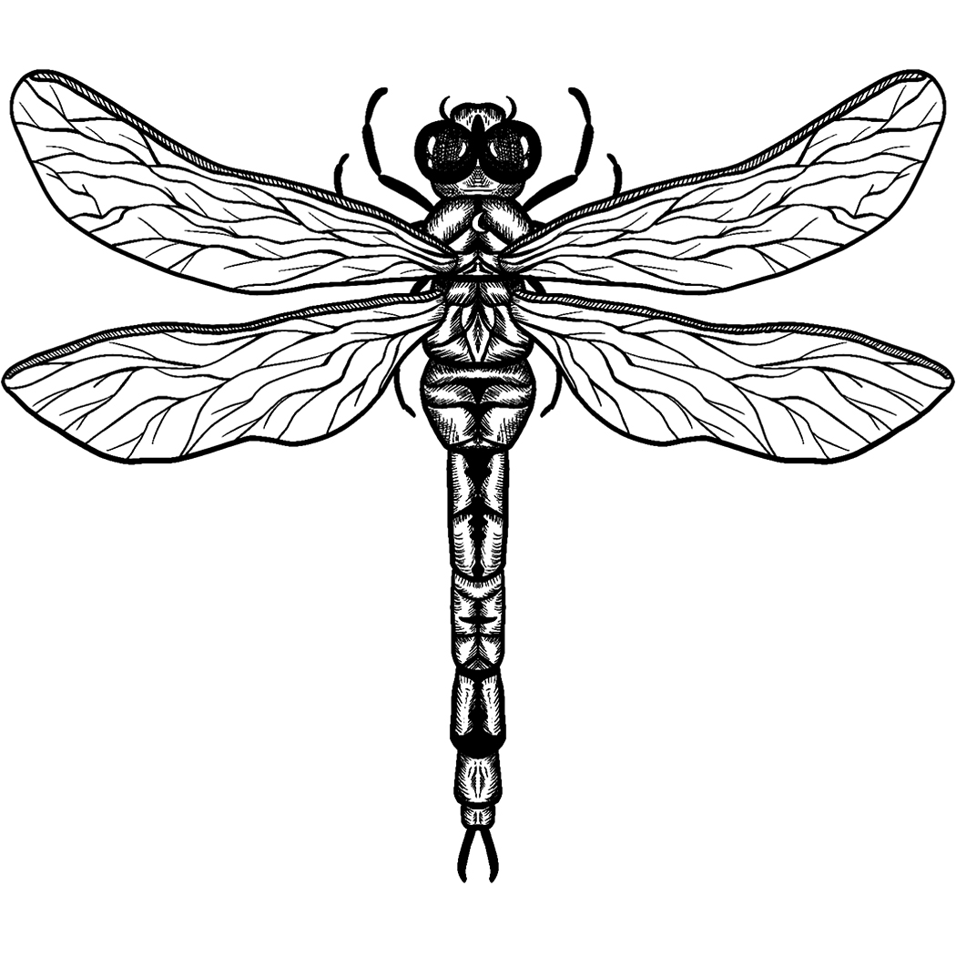 Draggin' Semi-Permanent Tattoo. Lasts 1-2 weeks. Painless and easy to ...