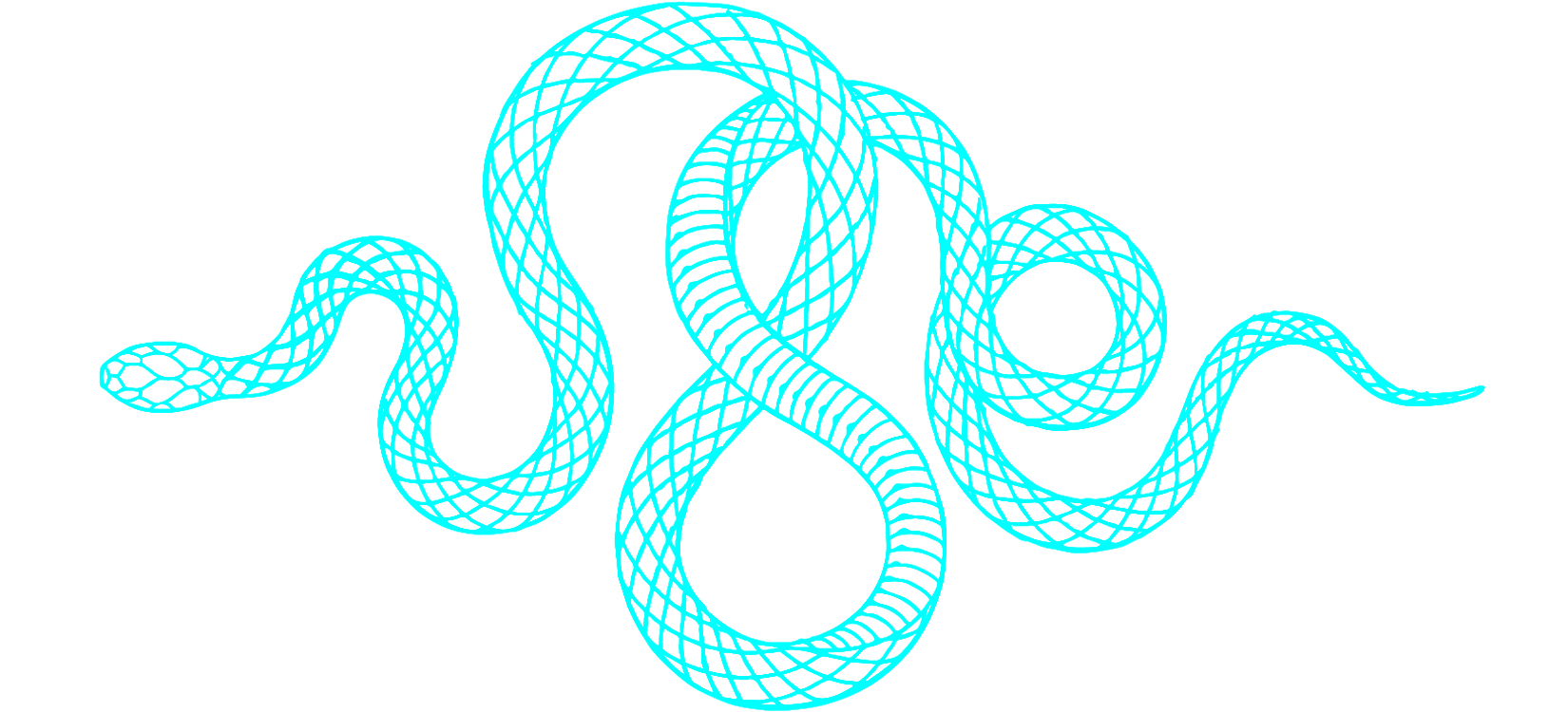 Snakeskin Semi-Permanent Tattoo. Lasts 1-2 weeks. Painless and easy to ...