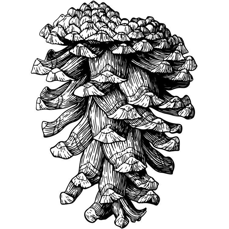 Pined Over Semi-Permanent Tattoo. Lasts 1-2 weeks. Painless and easy to ...