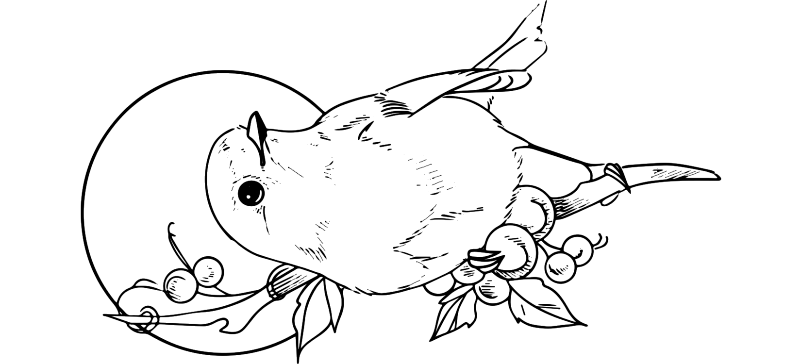 Bird Watcher's Dream Semi-Permanent Tattoo. Lasts 1-2 weeks. Painless ...