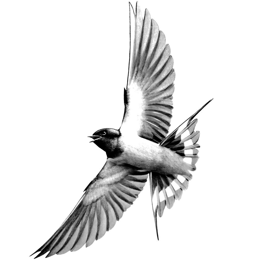 Bird Chest Tattoos: Soaring Designs | Inkbox™ | Semi-Permanent Tattoos