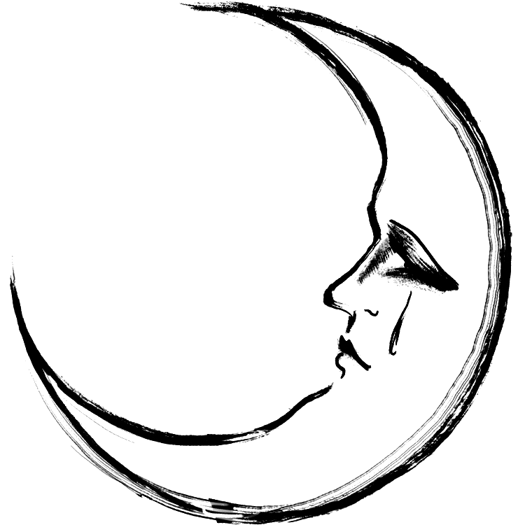 Luna Semi-Permanent Tattoo. Lasts 1-2 weeks. Painless and easy to apply ...