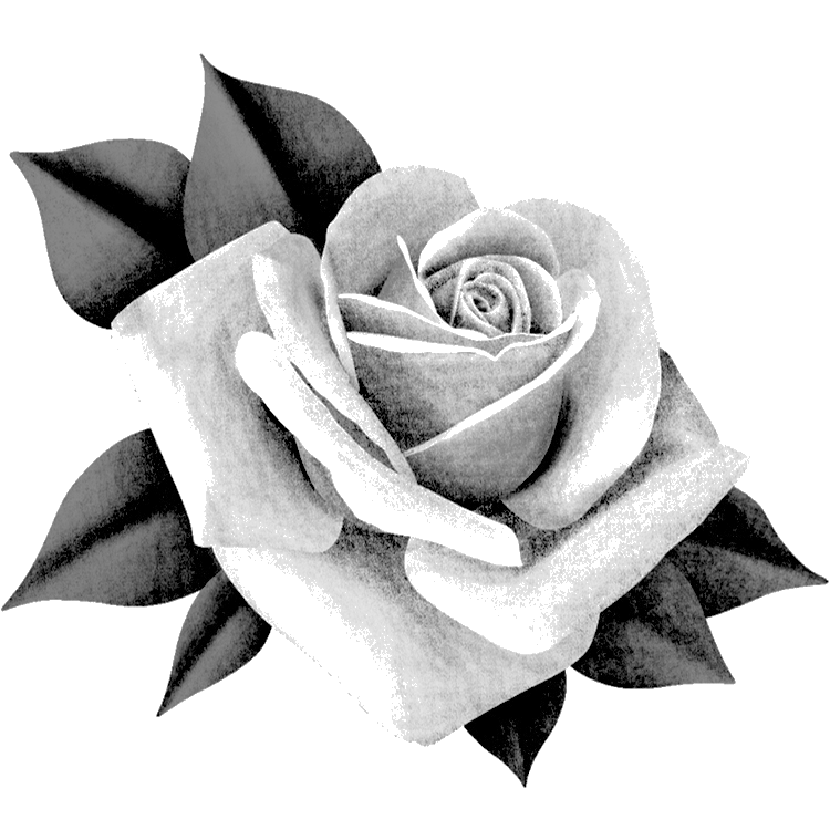 Perianth Semi-Permanent Tattoo. Lasts 1-2 weeks. Painless and easy to ...