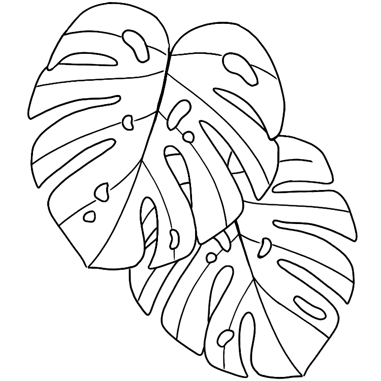 Monstera Ink: Tattoos for Plant Lovers | Inkbox™ | Semi-Permanent Tattoos