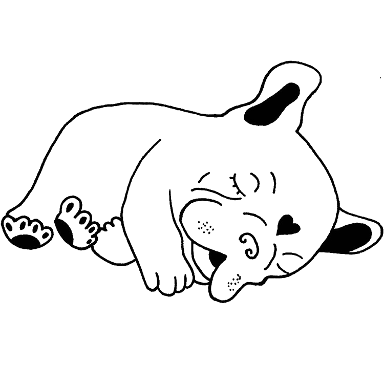 Zizz Semi-Permanent Tattoo. Lasts 1-2 weeks. Painless and easy to apply ...