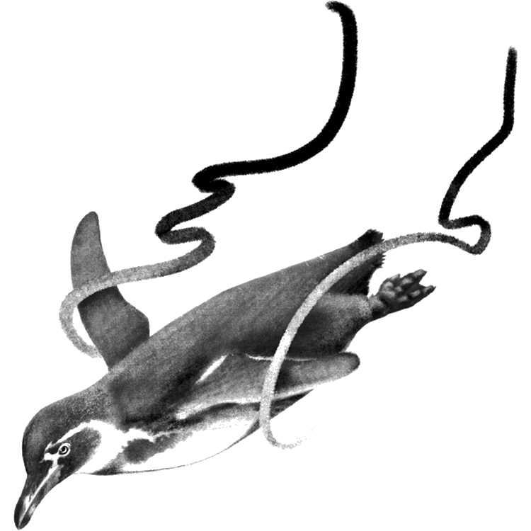 Penguin Ink: Cool Tattoo Designs | Inkbox™ | Semi-Permanent Tattoos