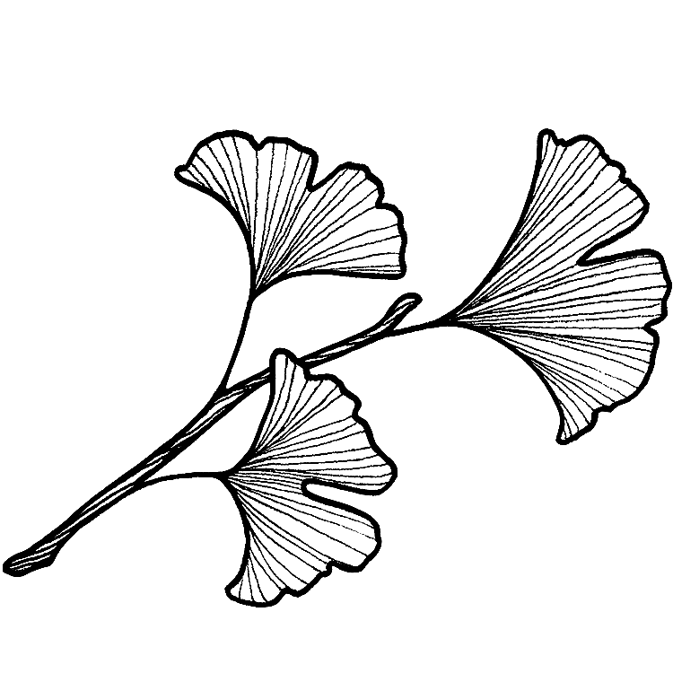 Demure Semi-Permanent Tattoo. Lasts 1-2 weeks. Painless and easy to ...