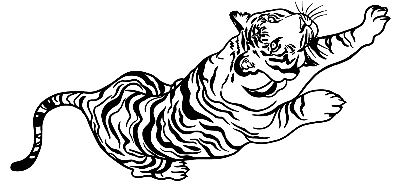 Tiger Outline Drawing Tattoo