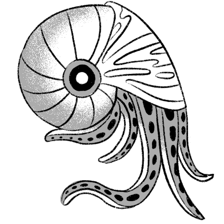 Nautilus of Wisdom Semi-Permanent Tattoo. Lasts 1-2 weeks. Painless and ...